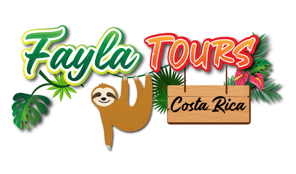 Experience Costa Rica the Pura Vida Way with Costa Rica Fayla Tours ...