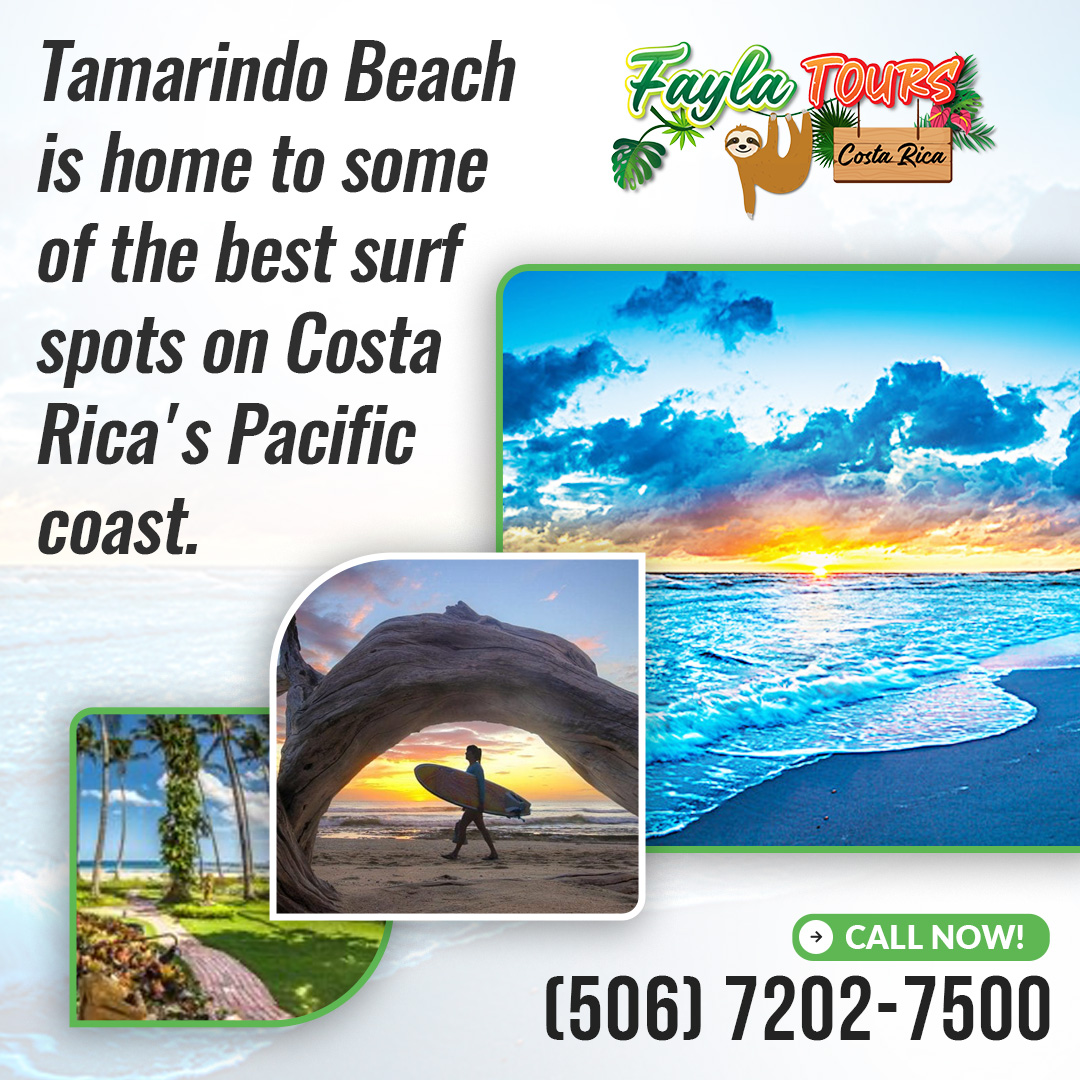 Surf’s Up: A Guide to Tamarindo Beach’s Best Surf Spots and Beachfront ...